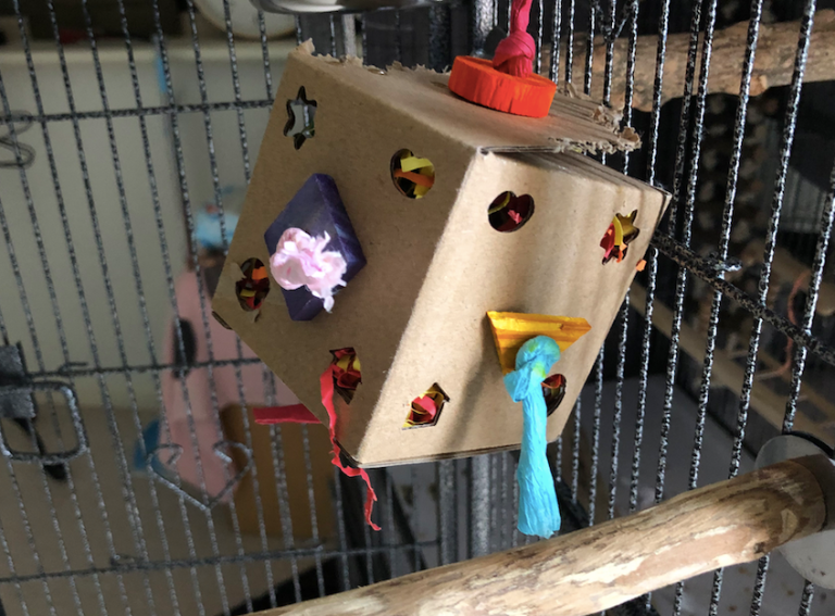 20 Creative DIY Bird Toy Ideas for Engaging Playtime
