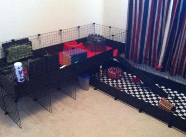 35 Creative DIY Guinea Pig Cage Ideas for Happy Pets