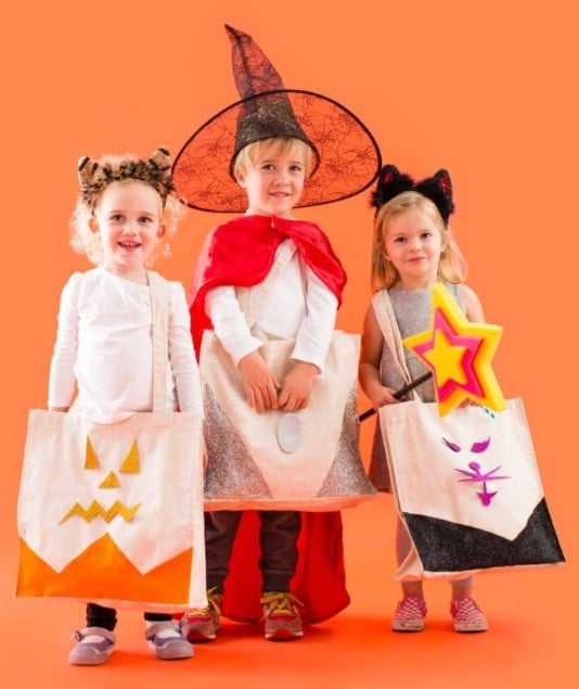 28 Fun DIY Trick or Treat Bag Designs for Halloween