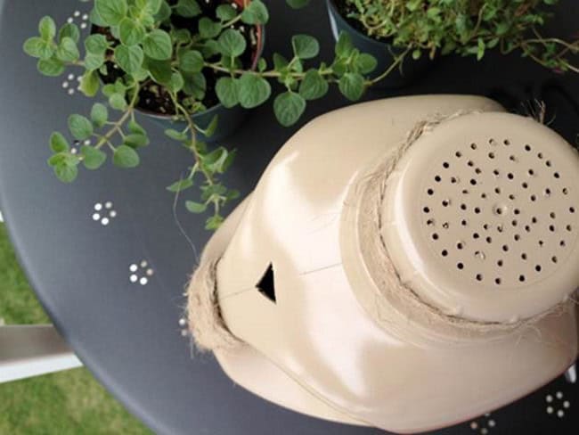 21 Creative DIY Watering Can Projects for Garden Enthusiasts