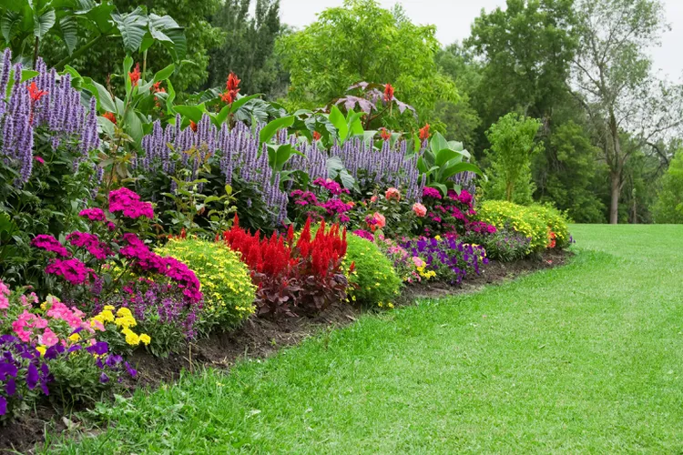 24 Charming DIY Flower Bed Ideas for Beautiful Gardens