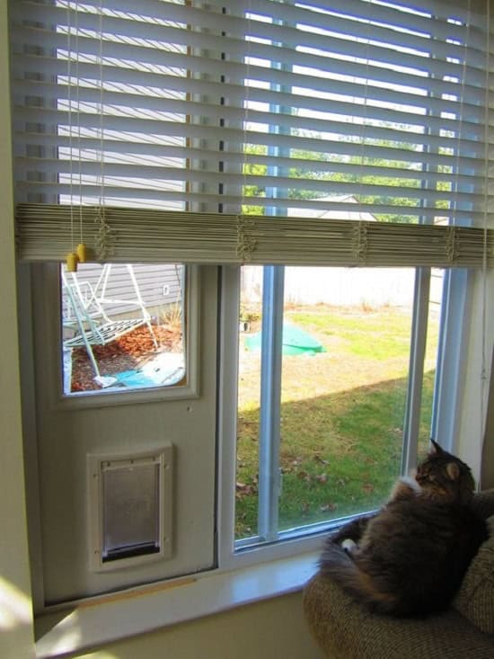 25 Clever DIY Cat Door Ideas for Easy Pet Access