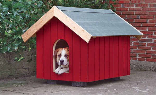 33 Creative DIY Dog House Designs You Can Build for Free