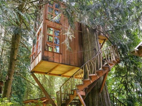 35 DIY Treehouse Designs for Fun Outdoor Living