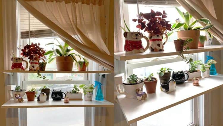 27 Charming DIY Window Plant Shelf Ideas for Green Spaces