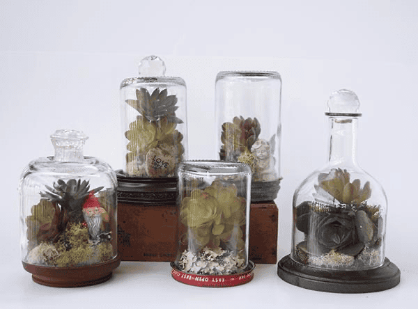 29 DIY Terrarium Ideas