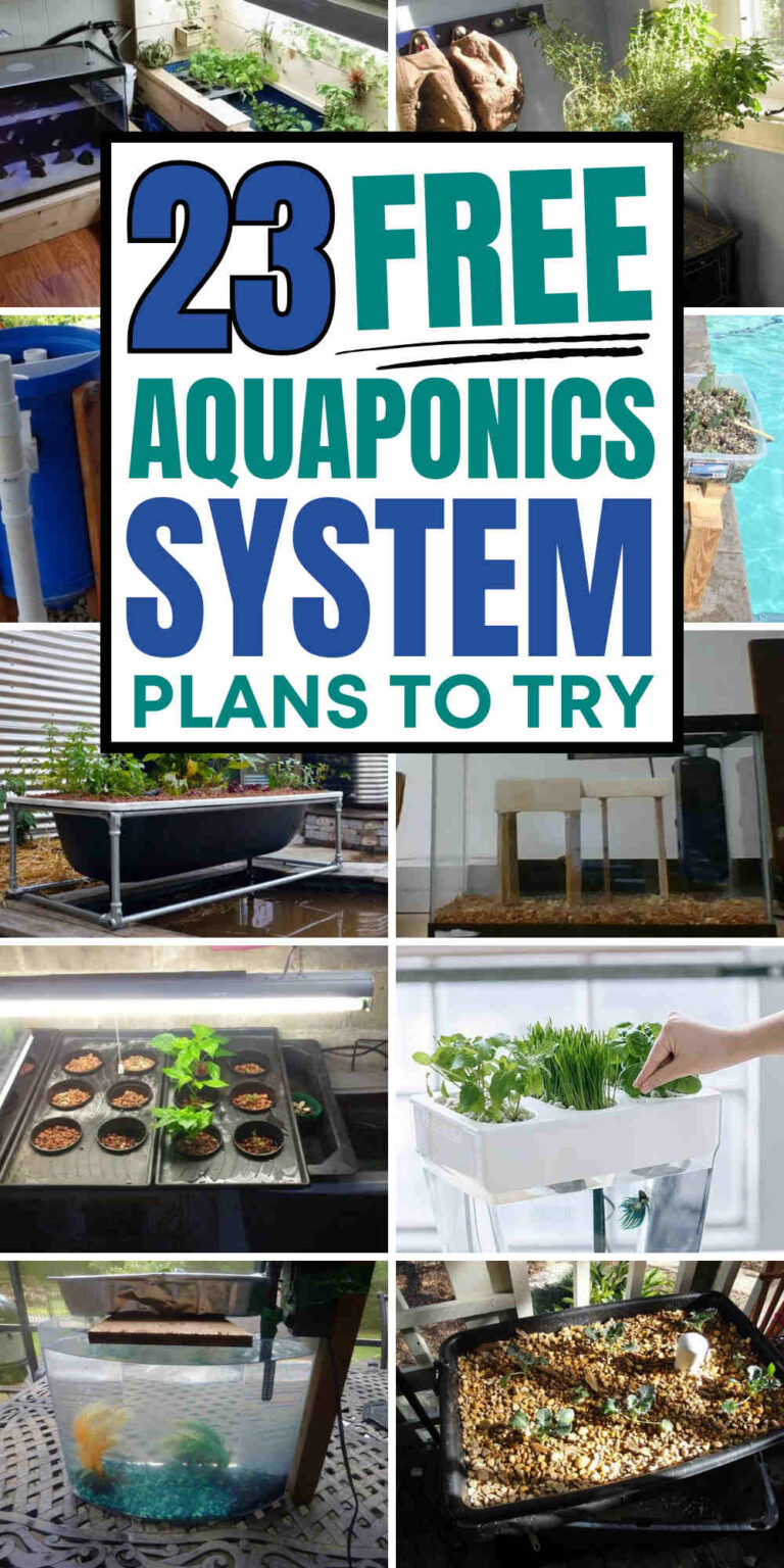 23 Practical DIY Aquaponics System Ideas for Your Garden