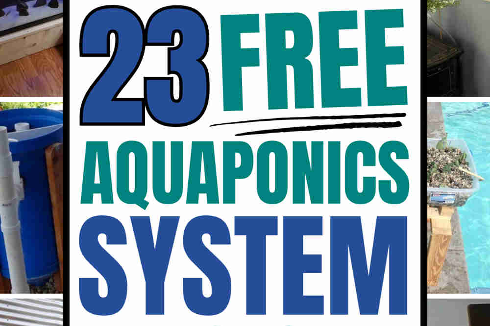 23 Practical DIY Aquaponics System Ideas for Your Garden