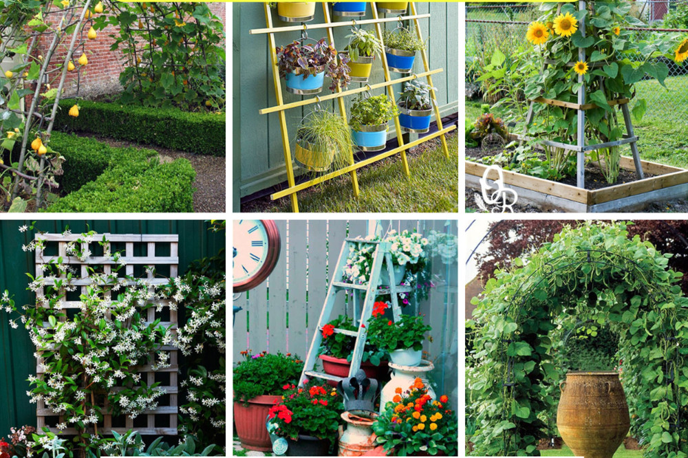 21 Creative DIY Arch Trellis Designs to Enhance Your Garden