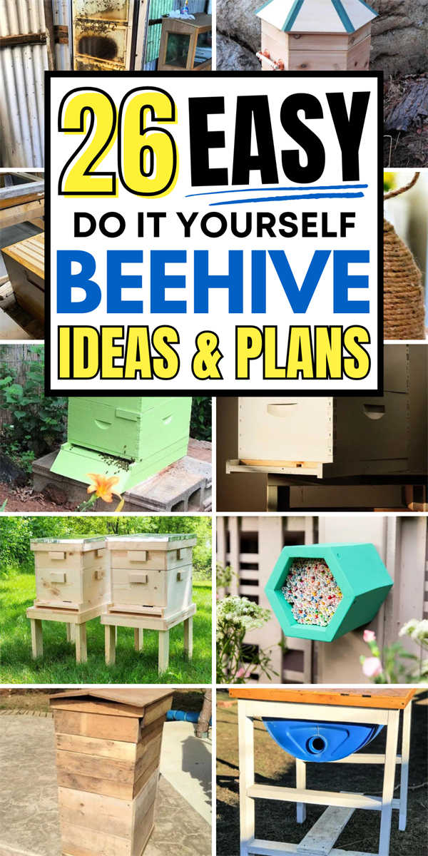 26 DIY Beehive Plans for Aspiring Beekeepers