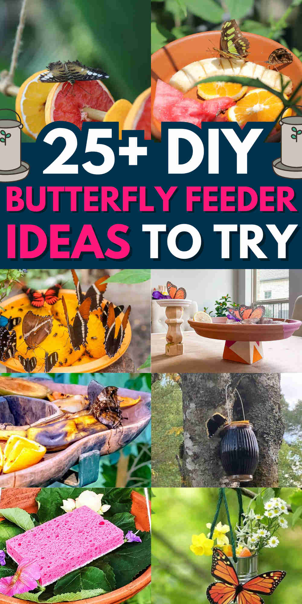 25+ Creative DIY Butterfly Feeder Designs for Your Garden