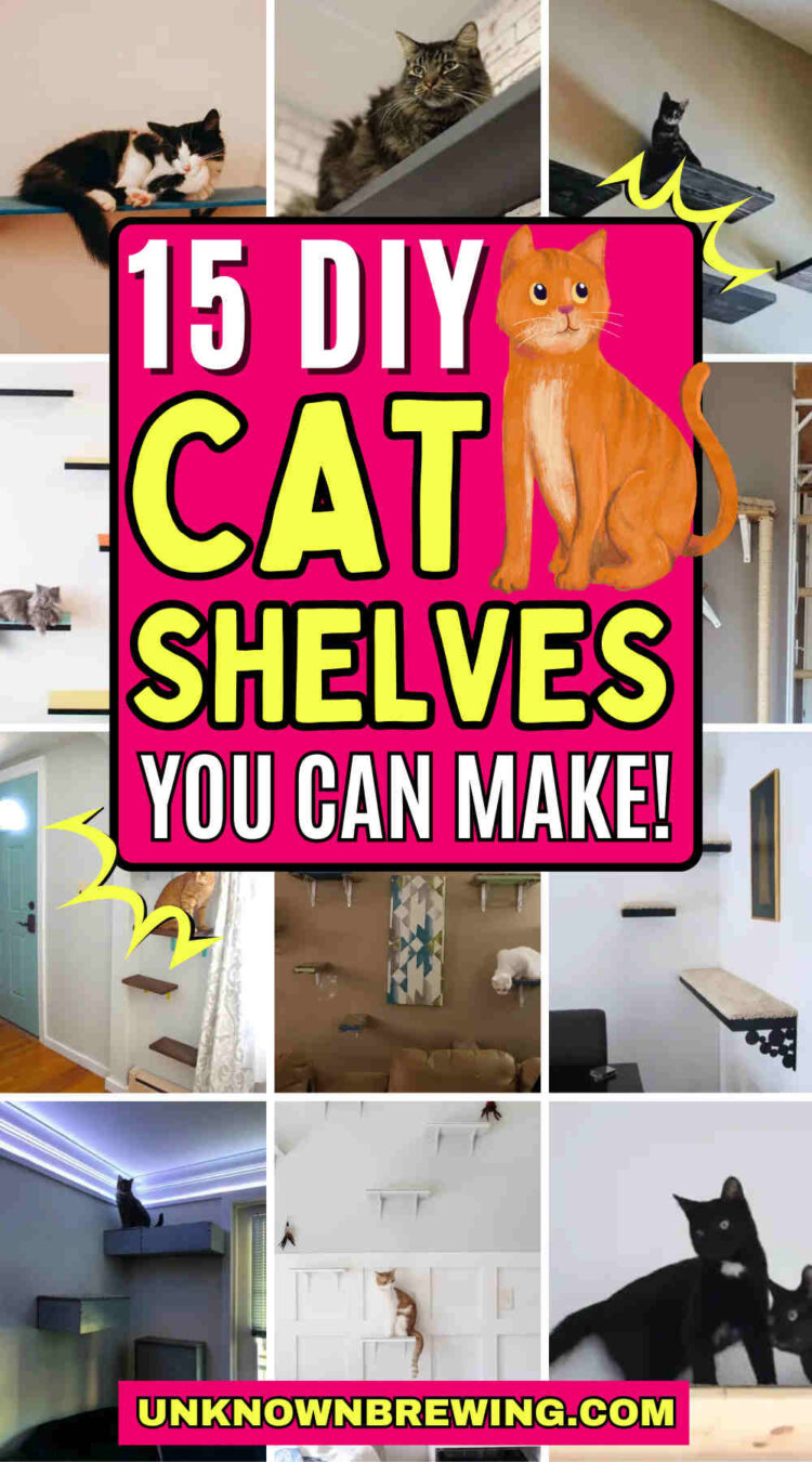 15 Fun DIY Cat Shelf Ideas for Your Feline Friends