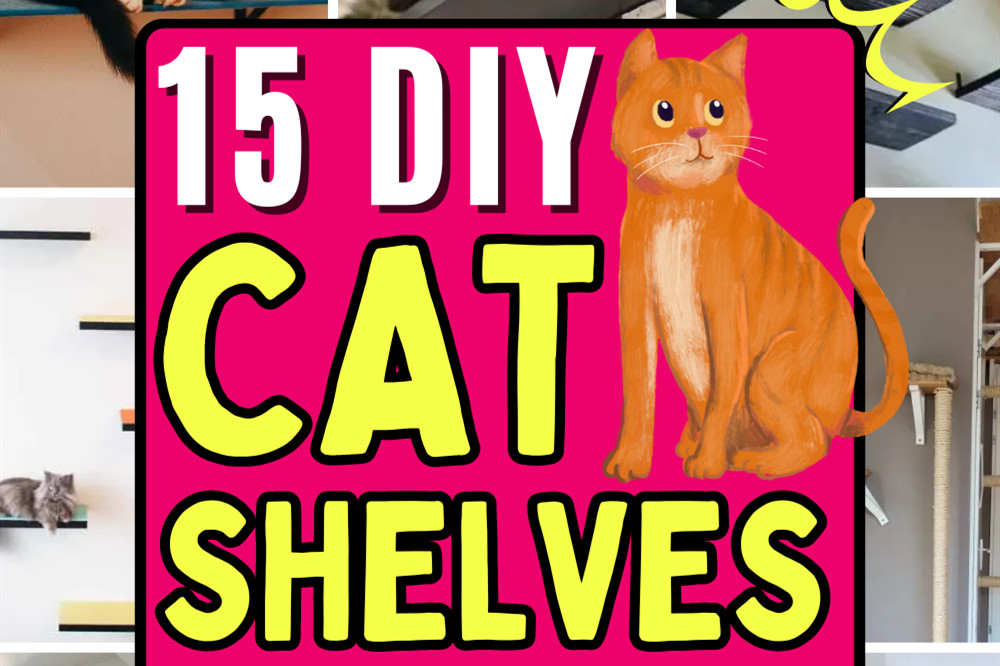 15 Fun DIY Cat Shelf Ideas for Your Feline Friends