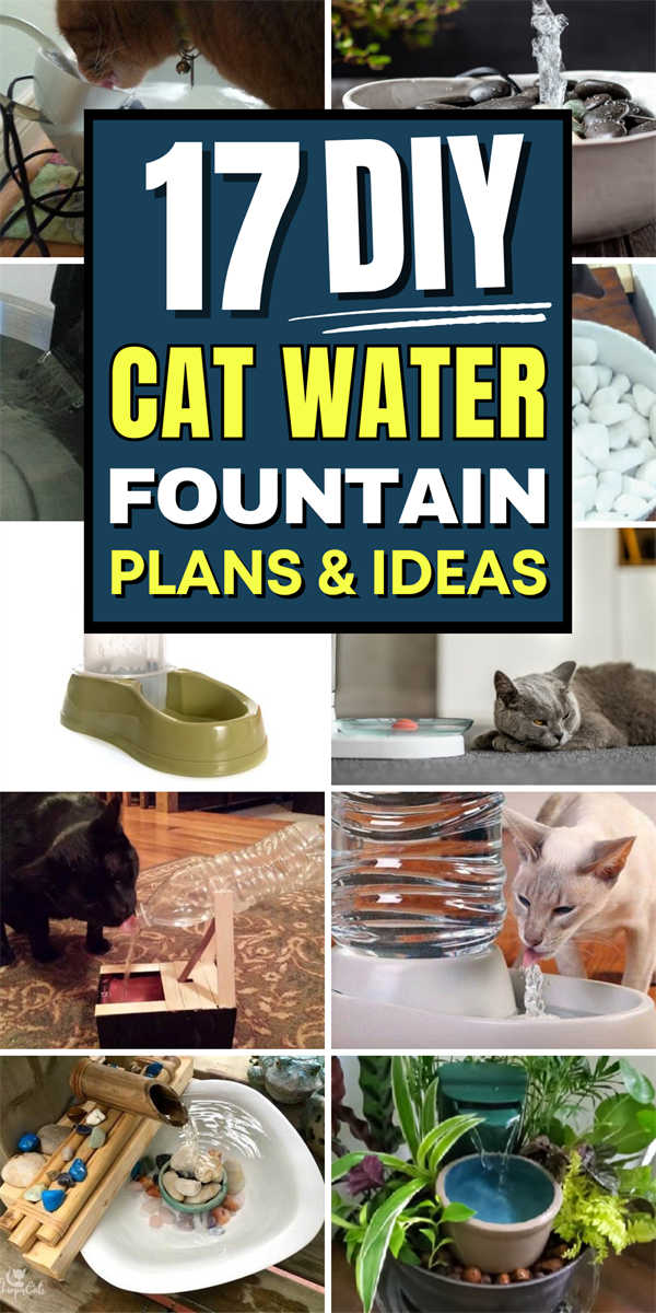 17 DIY Cat Fountain Ideas for Happy Pet