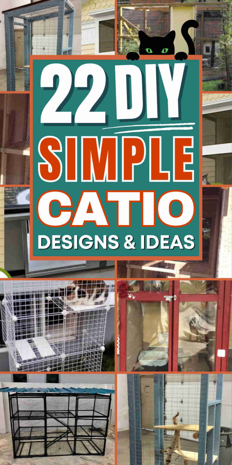 22 Creative DIY Catio Ideas for Your Feline Friends