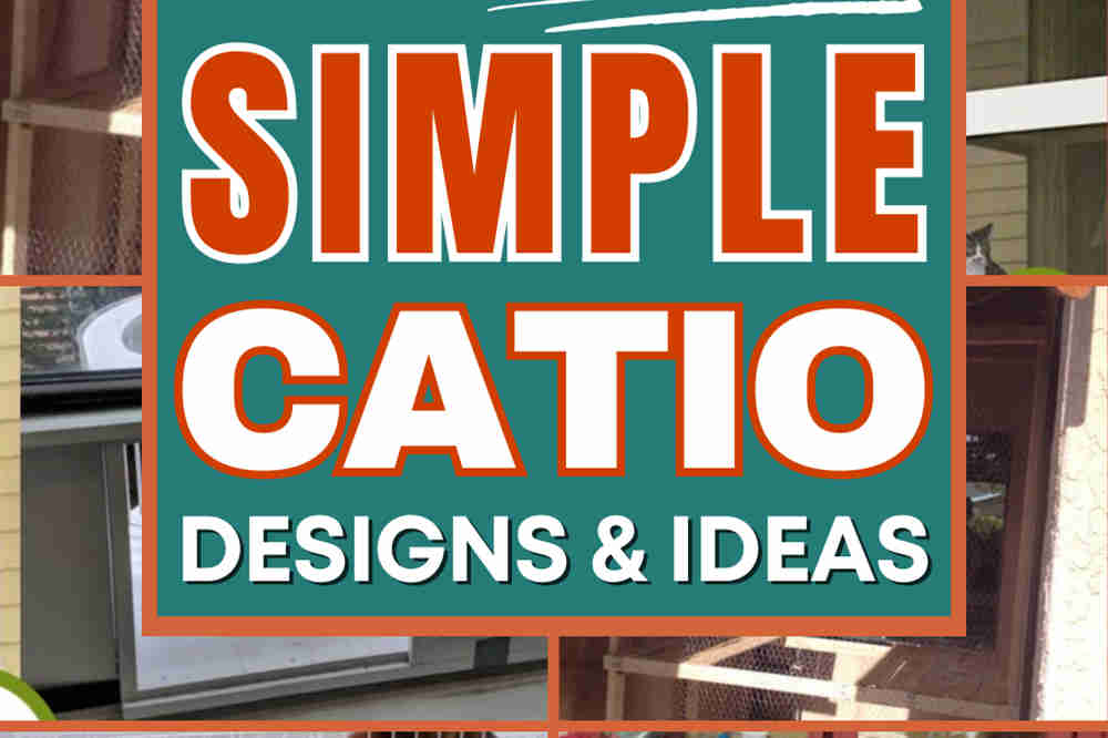 22 Creative DIY Catio Ideas for Your Feline Friends