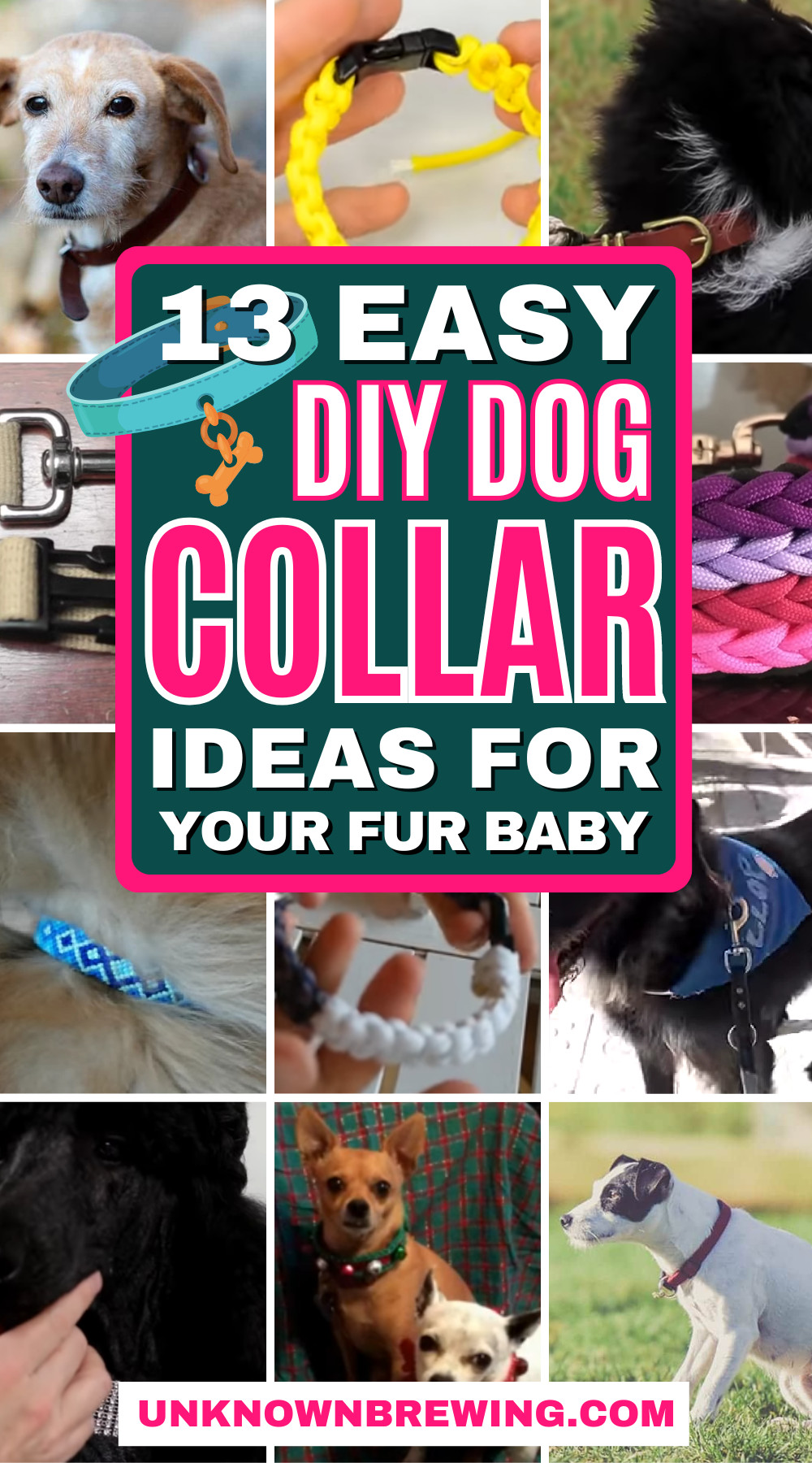 13 Fun DIY Dog Collar Projects to Personalize Your Dog's Gear