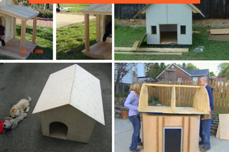 33 Creative DIY Dog House Designs You Can Build for Free