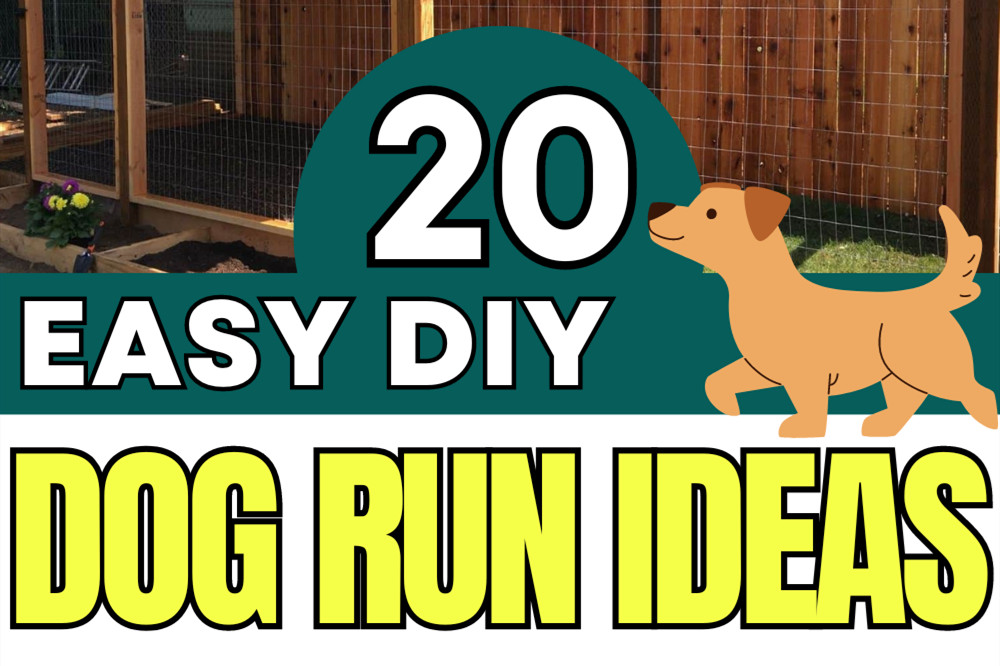 20 Top DIY Dog Run Designs for Happy Pups