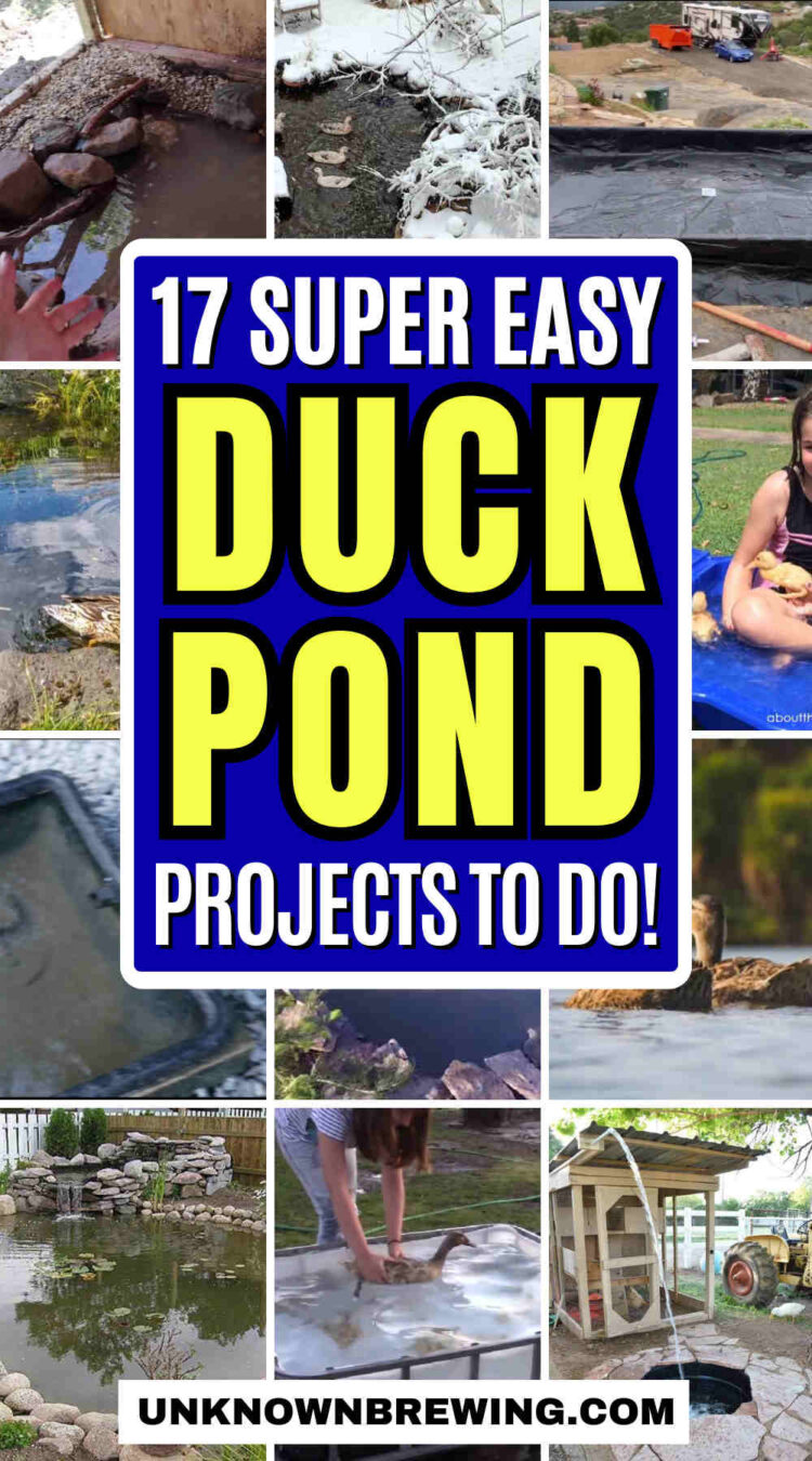 17 Charming DIY Duck Pond Ideas for Your Backyard