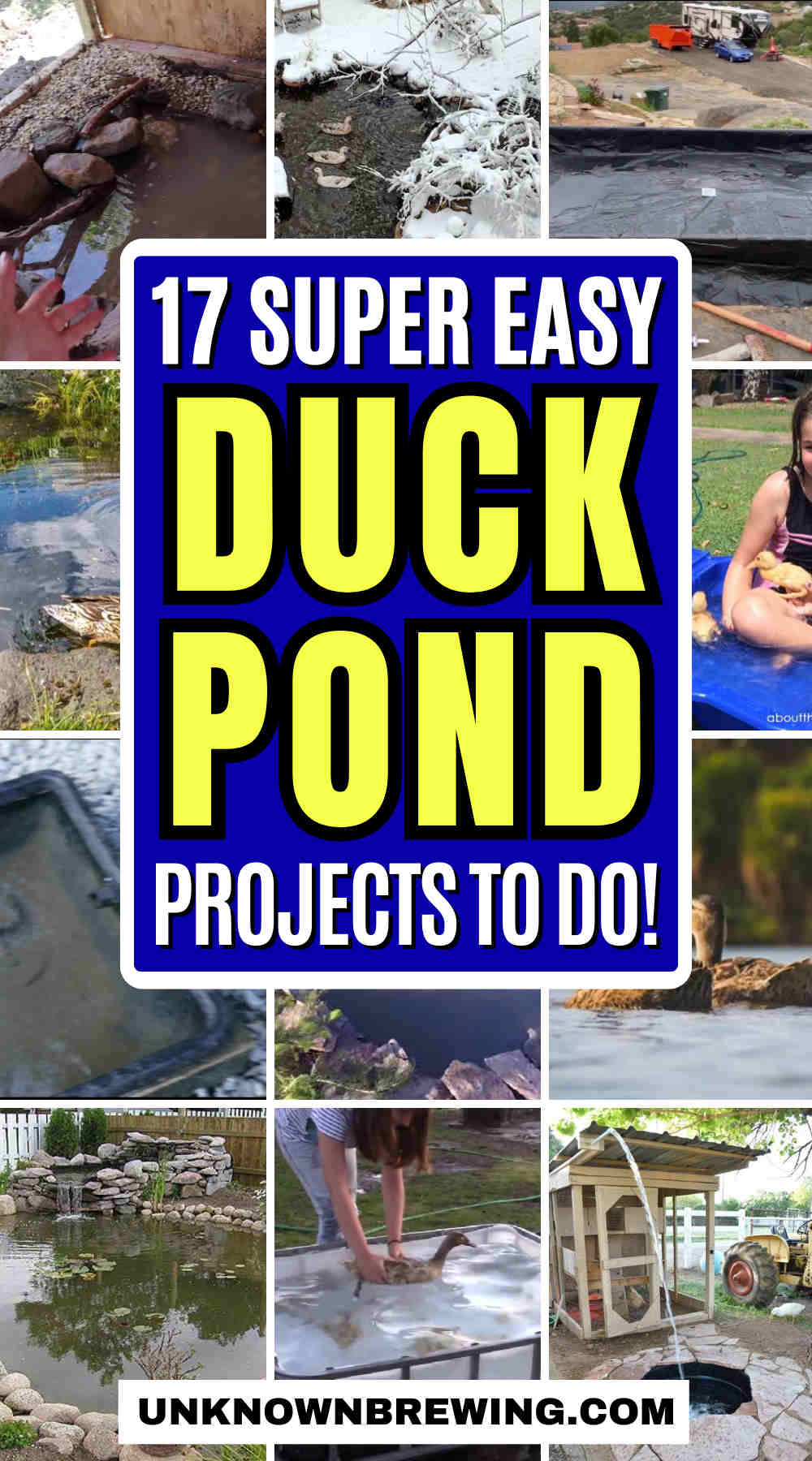 17 Charming DIY Duck Pond Ideas for Your Backyard