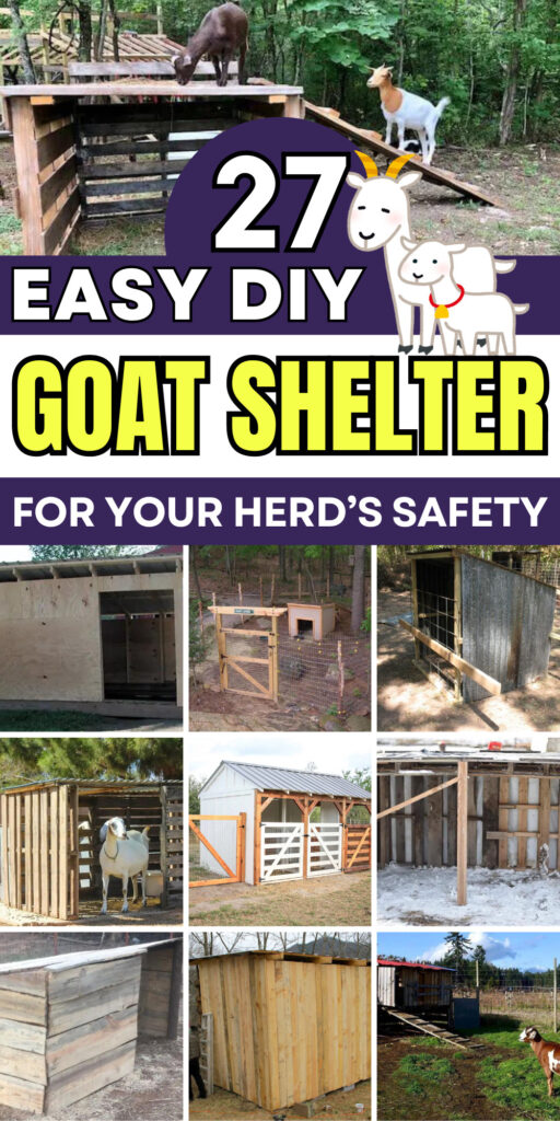 27 Practical DIY Goat Shelter Plans for Comfortable Housing