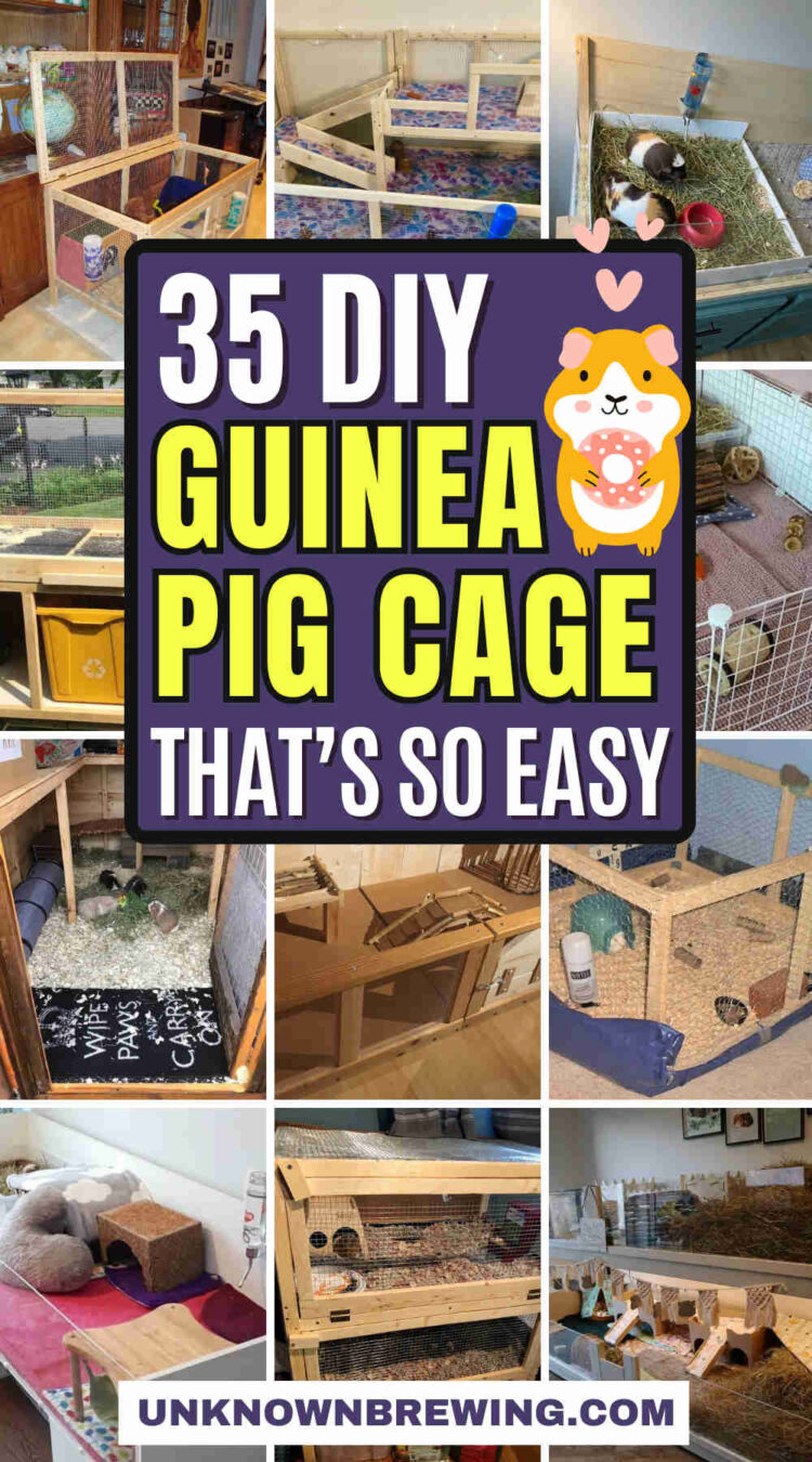 35 Creative DIY Guinea Pig Cage Ideas for Happy Pets