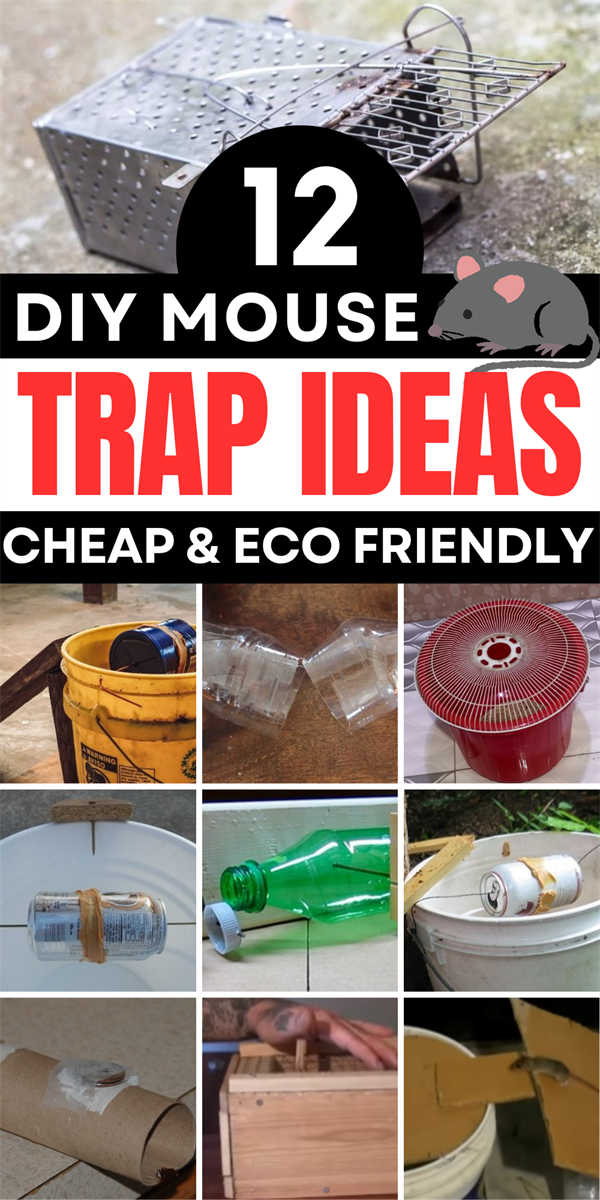 12 Effective Diy Mouse Trap Designs For Home Use