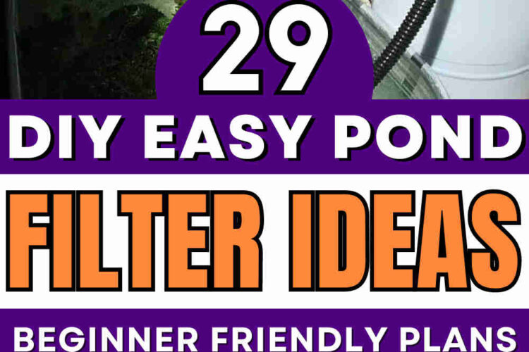 29 Effective DIY Pond Filter Designs & Plans