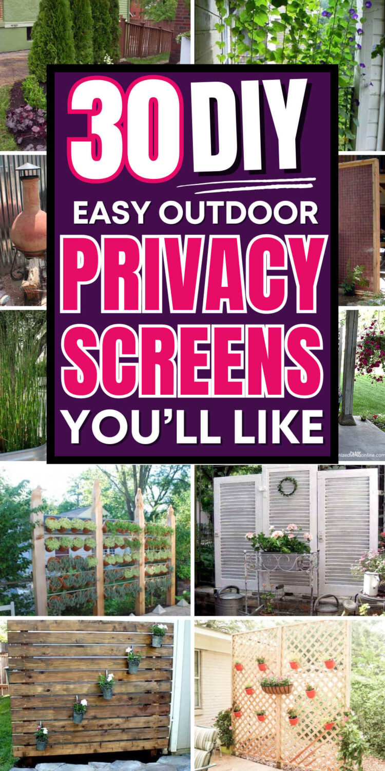 30 Creative DIY Privacy Screen Projects & Inspirations