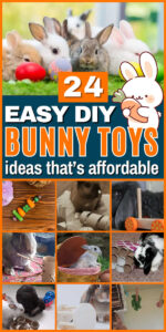 24 Creative DIY Bunny Toy Ideas for Your Pets