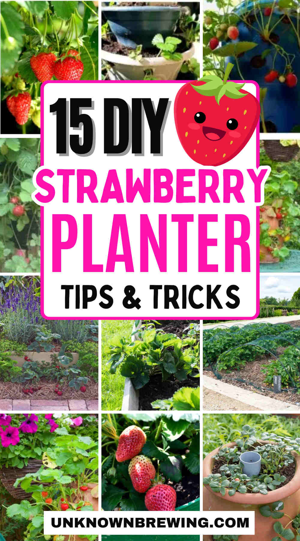 15 Clever DIY Strawberry Planter Ideas for Home Gardening