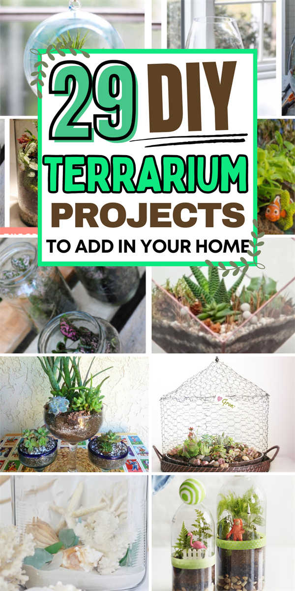 29 DIY Terrarium Ideas for Indoor Greenery