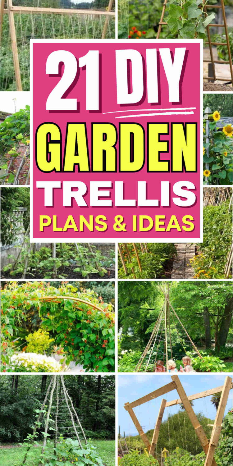 21 Beautiful DIY Garden Trellis Ideas for Your Backyard