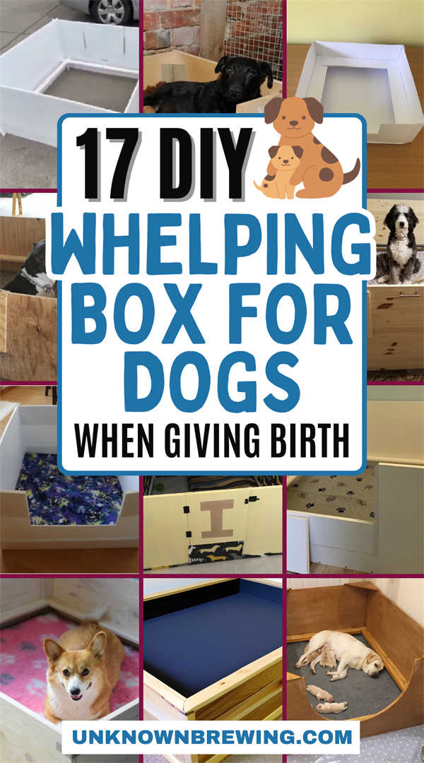 17 Affordable DIY Whelping Box Solutions for Pet Owners