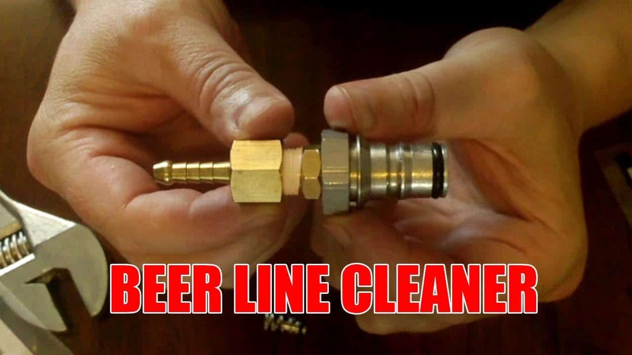 17 Diy Beer Line Cleaner Ideas You Can Diy Easily