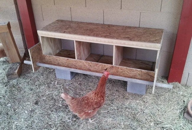 15 Practical DIY Chicken Nesting Box Plans for Happy Hens