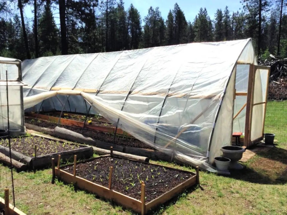 15 Practical PVC Greenhouse Plans for Your Garden