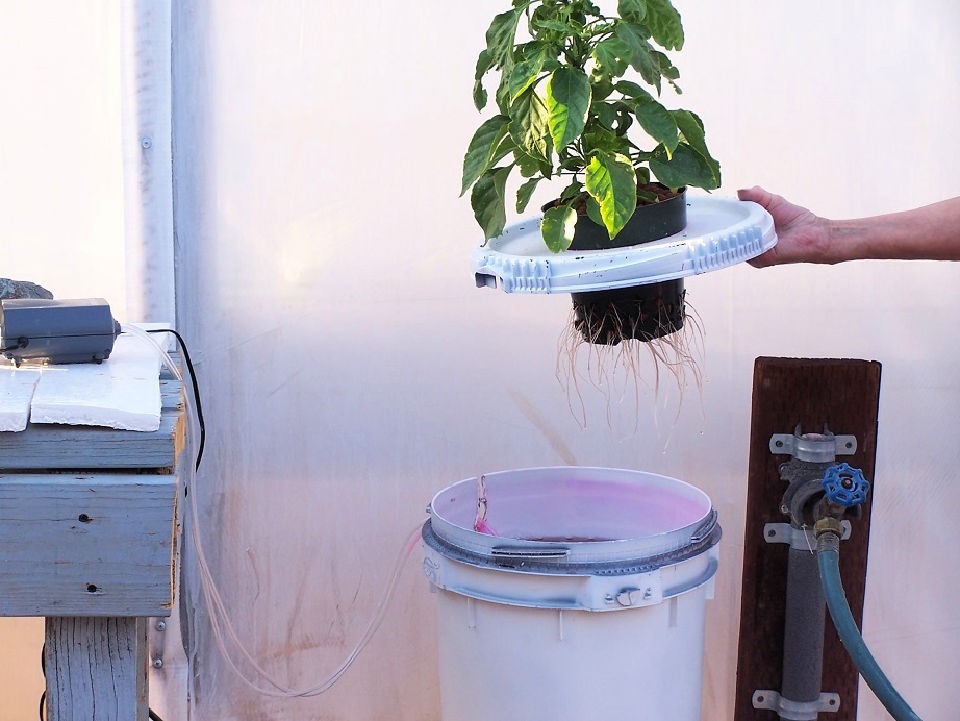 13 DIY Hydroponic System Ideas for Home Gardening