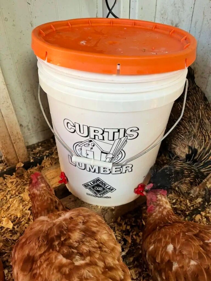 25 Creative DIY PVC Chicken Waterer Ideas for Happy Hens