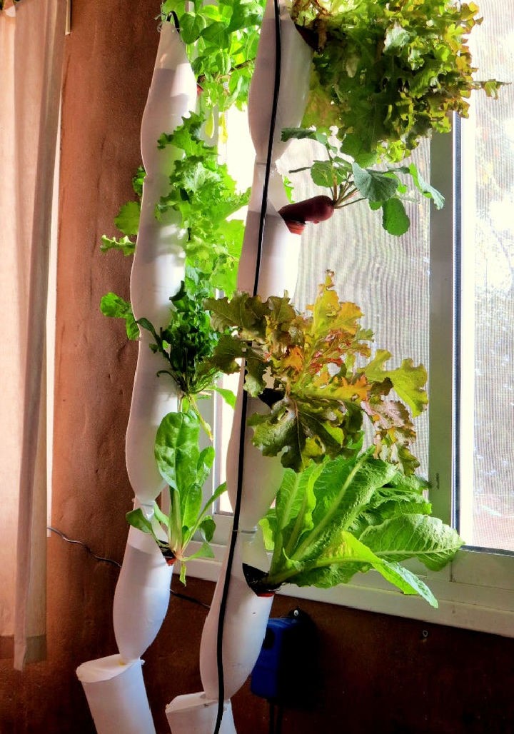 13 DIY Hydroponic System Ideas for Home Gardening