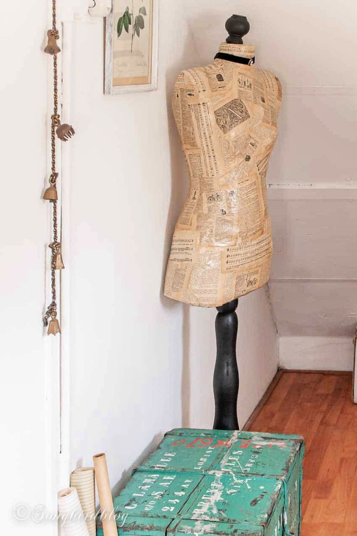 25 Diy Dress Form Ideas