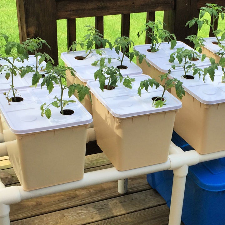 13 DIY Hydroponic System Ideas for Home Gardening