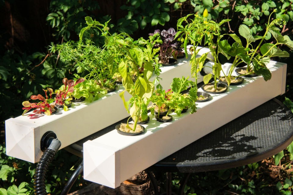 13 DIY Hydroponic System Ideas for Home Gardening
