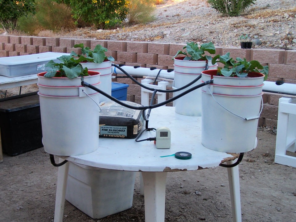 13 DIY Hydroponic System Ideas for Home Gardening