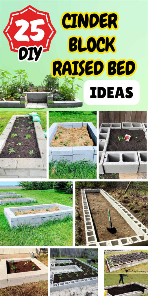 25 Creative DIY Cinder Block Raised Bed Ideas for Your Garden