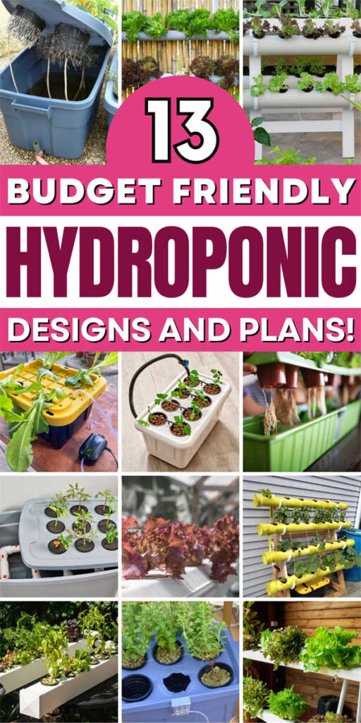 13 DIY Hydroponic System Ideas for Home Gardening