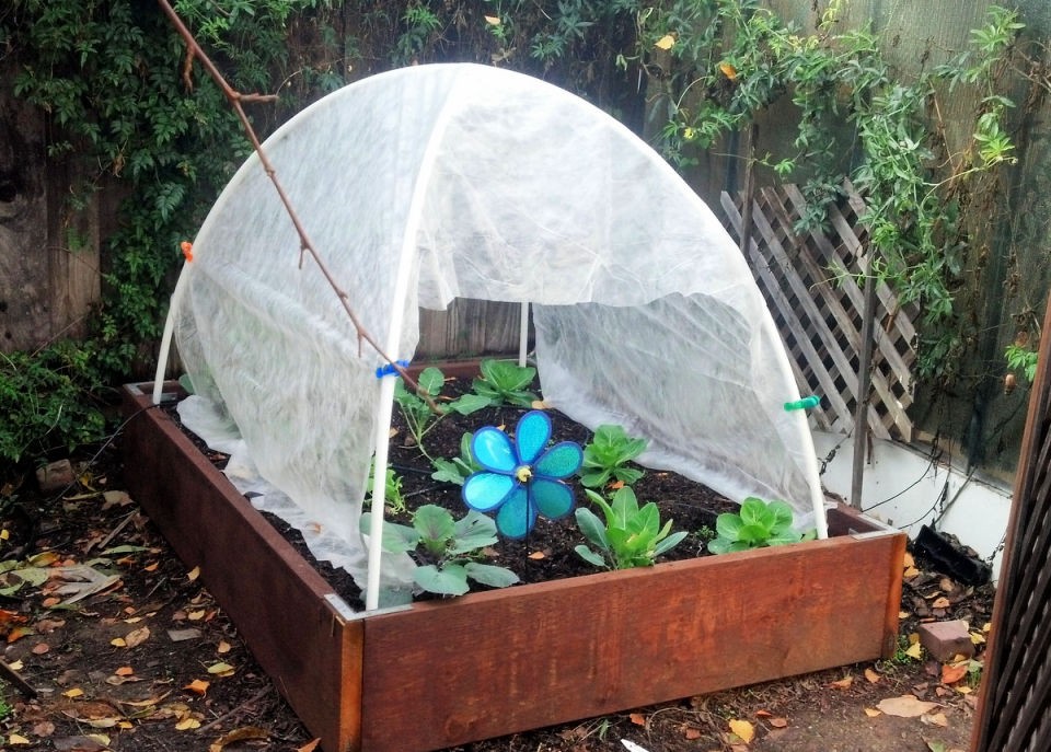 15 Practical PVC Greenhouse Plans for Your Garden