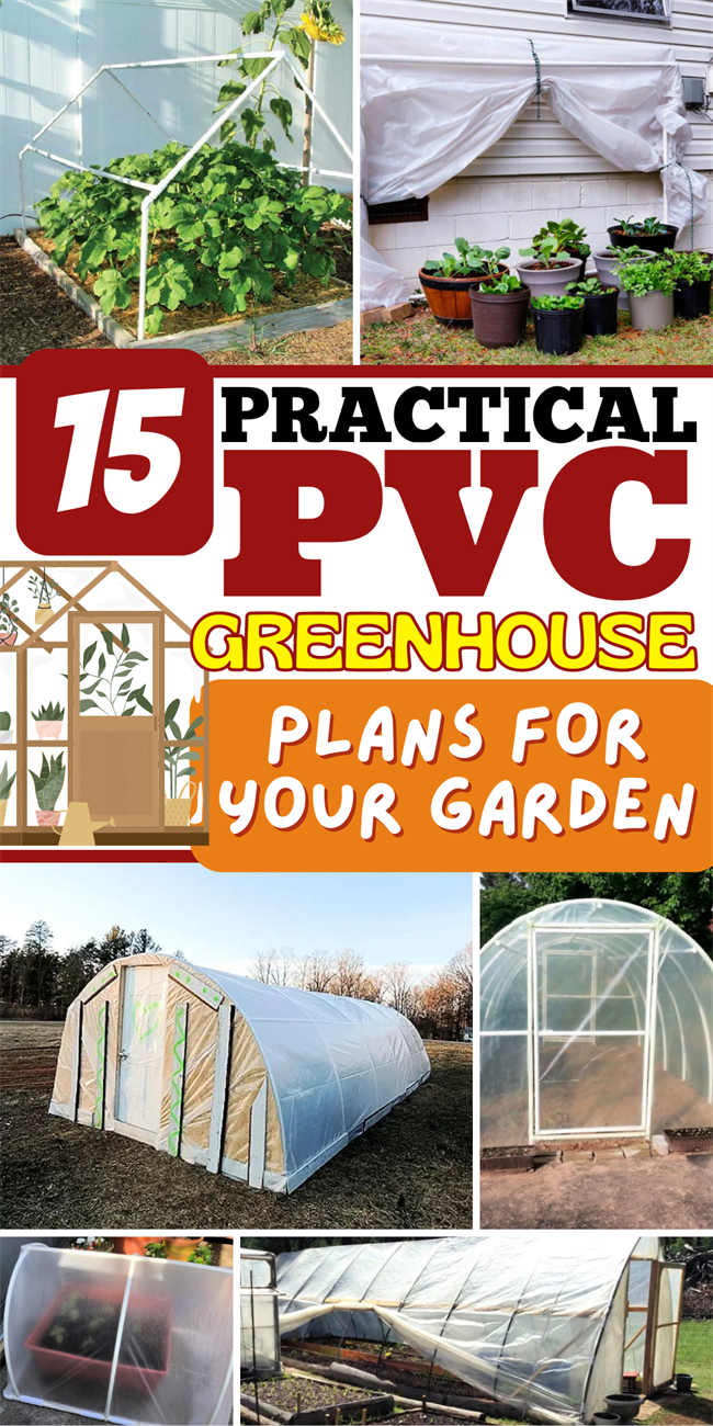 15 Practical PVC Greenhouse Plans for Your Garden