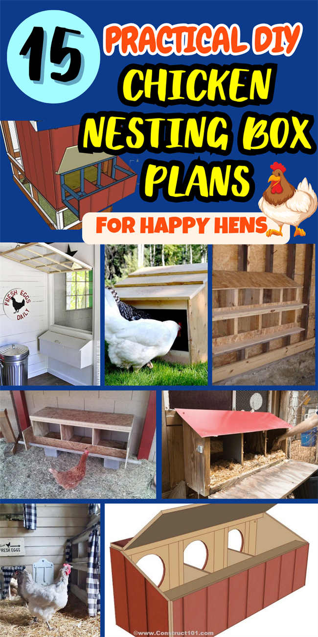 15 Practical DIY Chicken Nesting Box Plans for Happy Hens